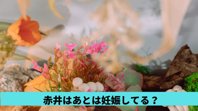 赤井はあとは妊娠してる？体調不良の理由4つ！出産説や精神不安定説も | Cranq