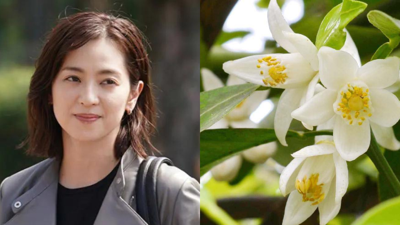 【ONEDAY考察】登場人物に花の名前が多い？キャスト14人の花言葉も | Cranq