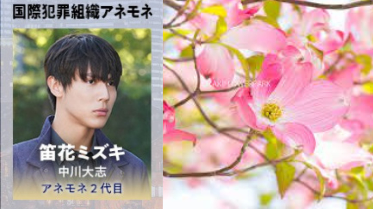 【ONEDAY考察】登場人物に花の名前が多い？キャスト14人の花言葉も | Cranq