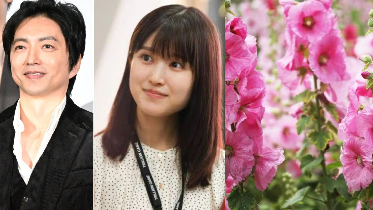 【ONEDAY考察】登場人物に花の名前が多い？キャスト14人の花言葉も | Cranq