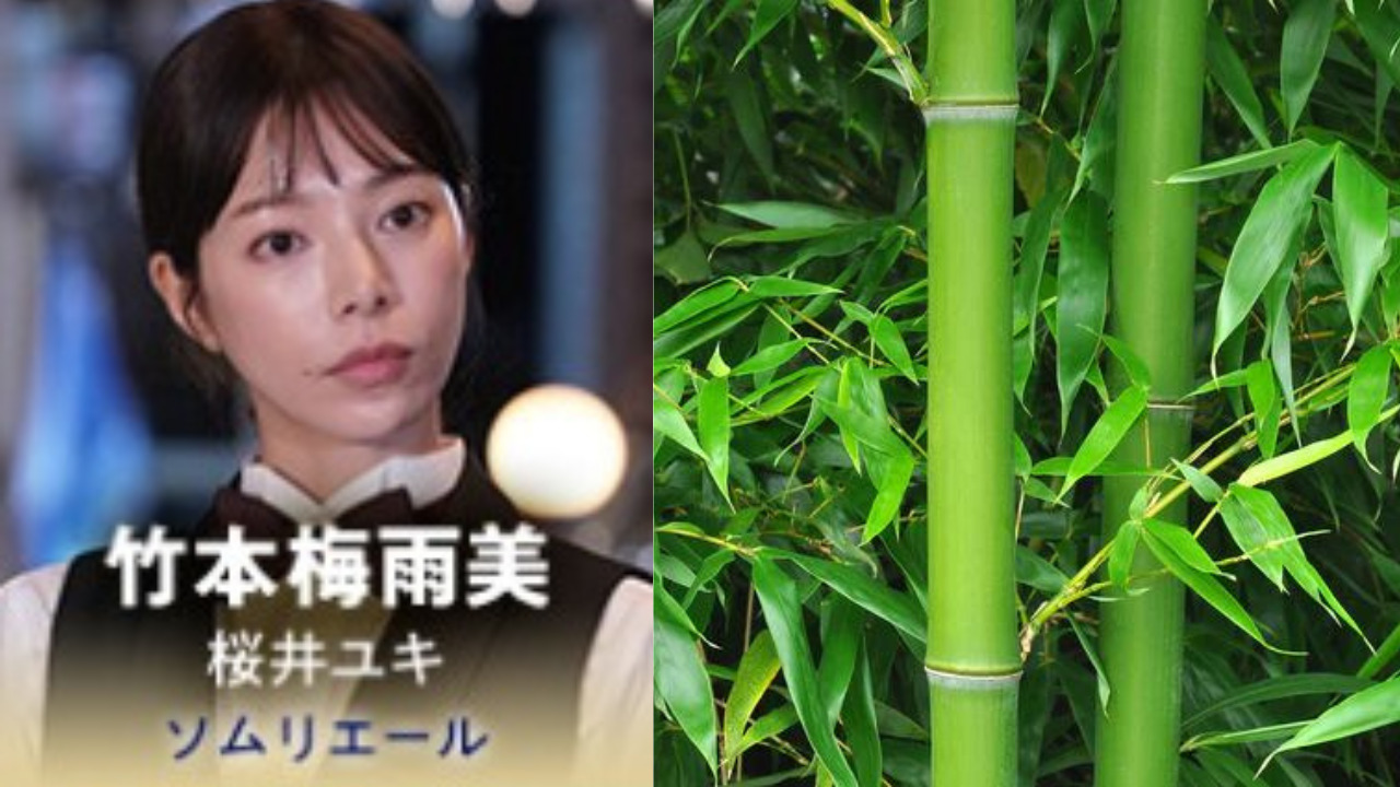 【ONEDAY考察】登場人物に花の名前が多い？キャスト14人の花言葉も | Cranq