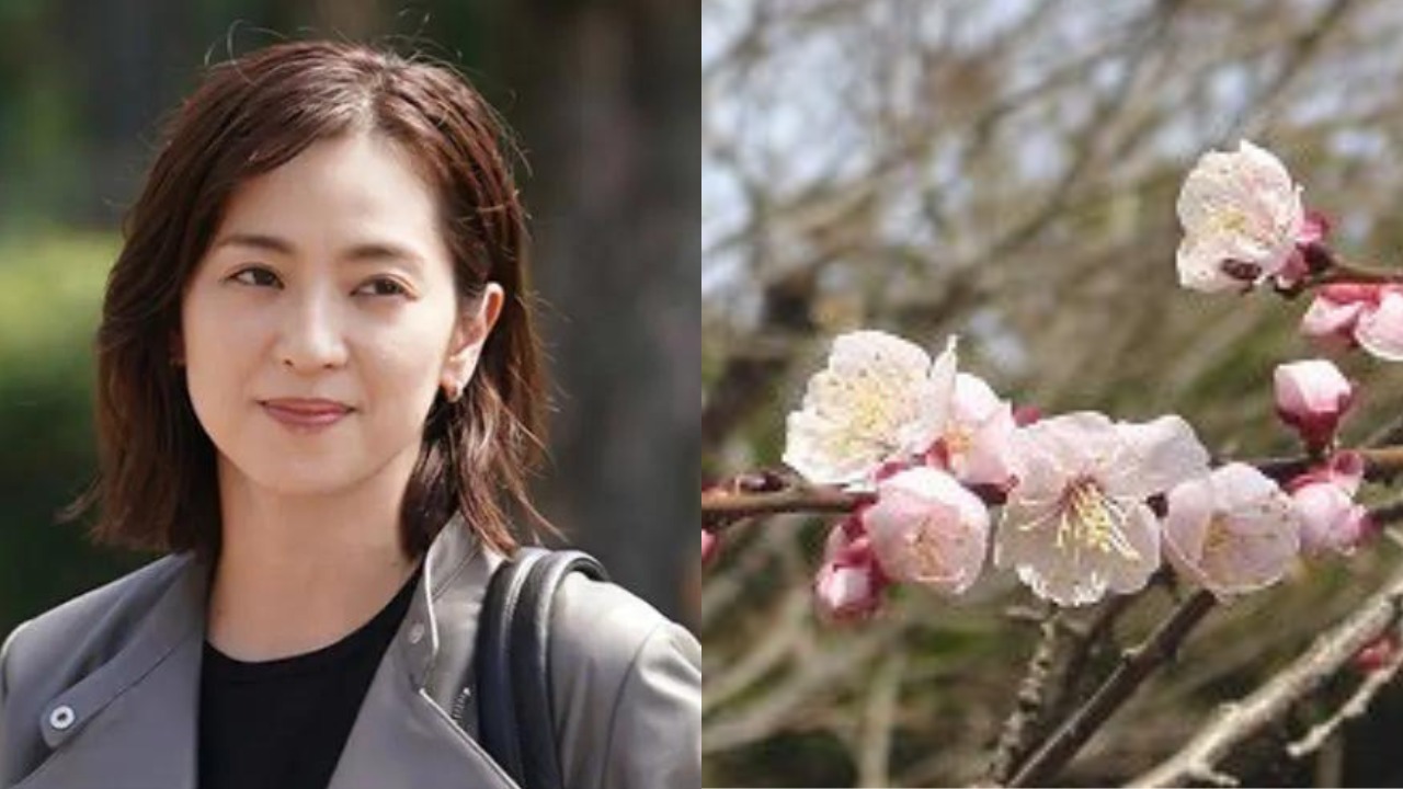 【ONEDAY考察】登場人物に花の名前が多い？キャスト14人の花言葉も | Cranq