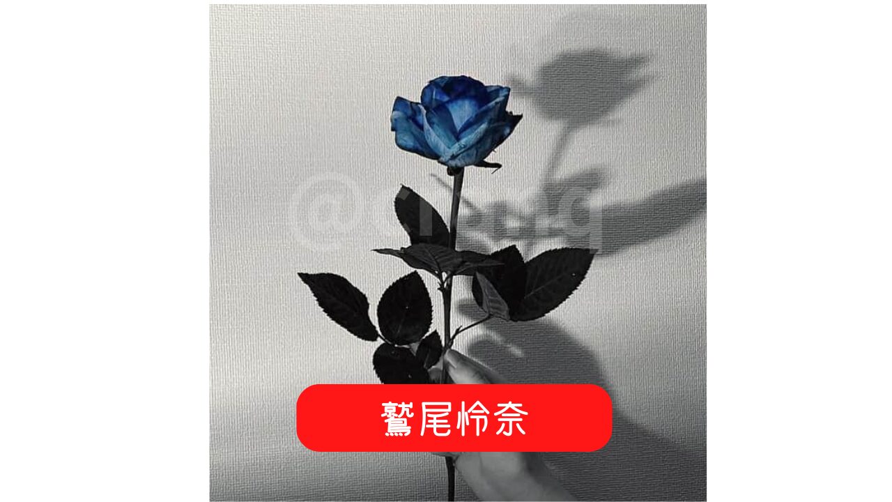 中島健人と鷲尾伶菜の匂わせ31選がひどい！結婚したすぎ!?同棲してたの？ | Cranq