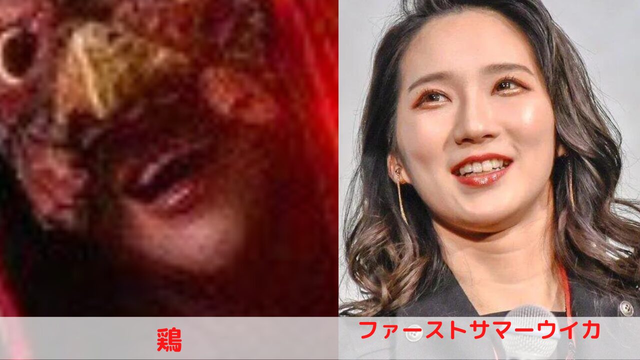 新空港占拠の鶏は山谷花純！候補6人！松本まりかや松本若菜も候補だった | Cranq